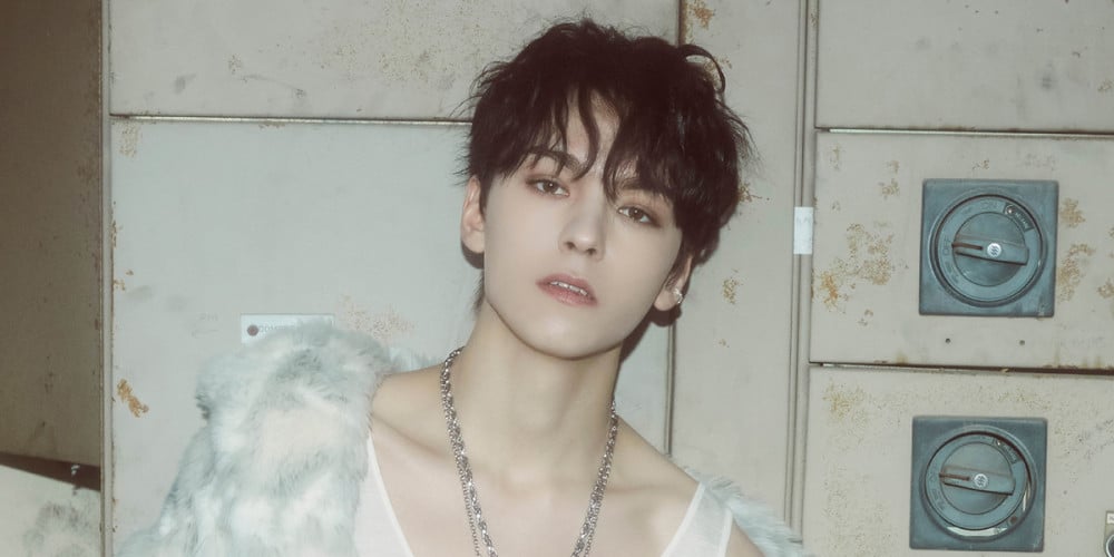 فيرنون من فرقة سفنتين يواعد مصممة فرقة TXT - آراكيبوب | ‎arakpop